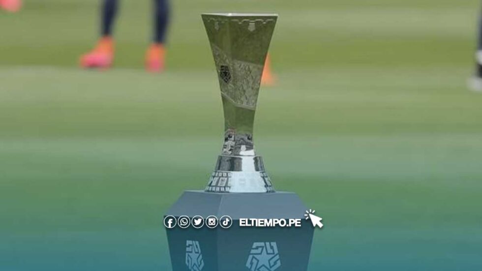 Reglamento de la Liga 1 Te Apuesto 2025 PDF para descargar online - El ...